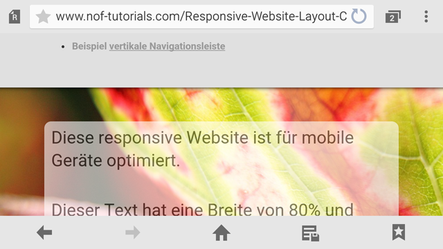 NetObjects Fusion Responsive Layoutbereiche
